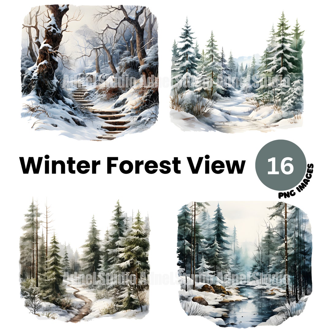 Winter Forest View Clipart - Watercolor Forest Clipart, Winter ...