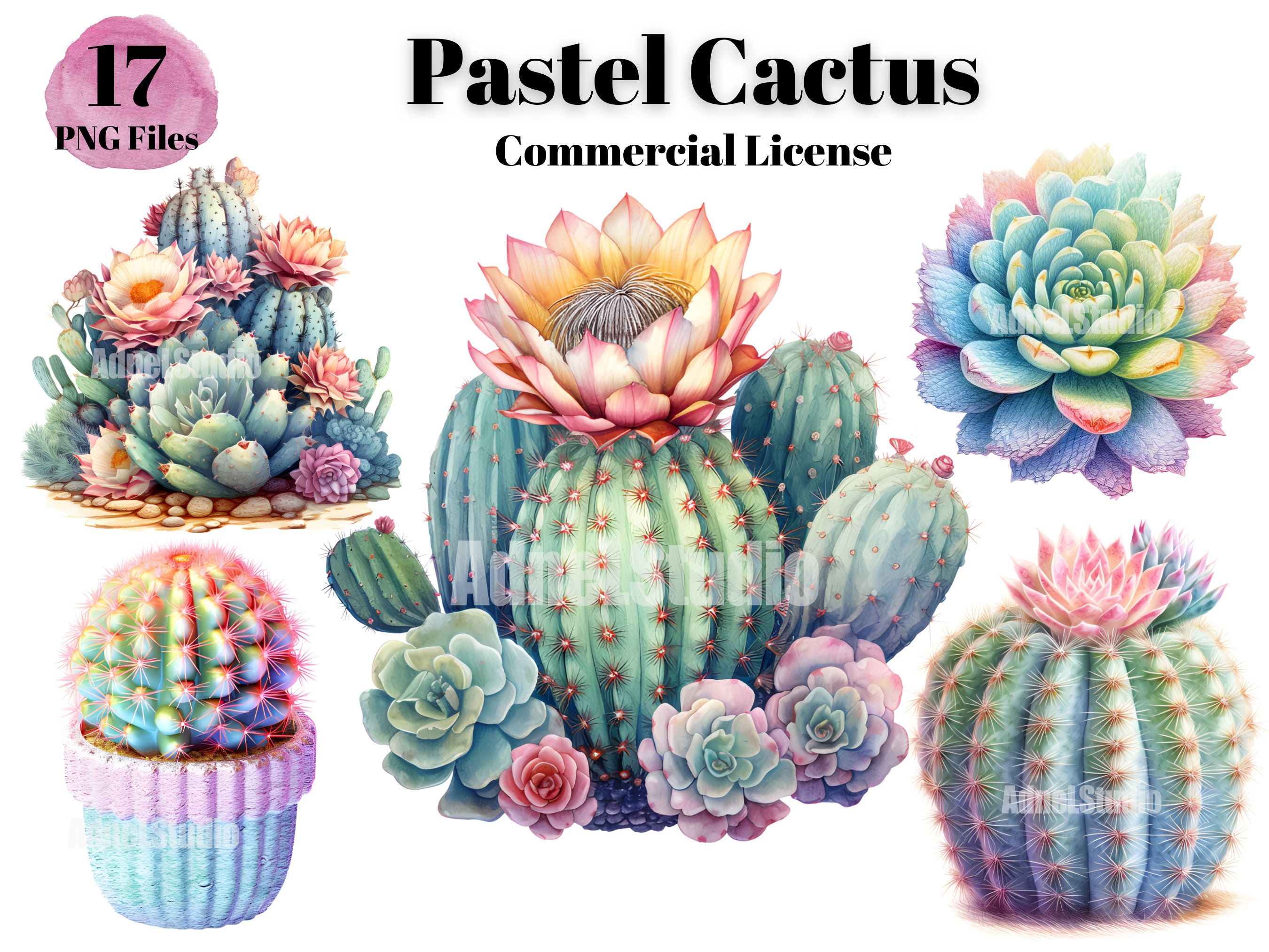 Watercolor Pastel Cactus Clipart Cactus Digital Clipart - Etsy