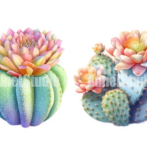 Watercolor Pastel Cactus Clipart - Cactus Digital Clipart Bundle ...