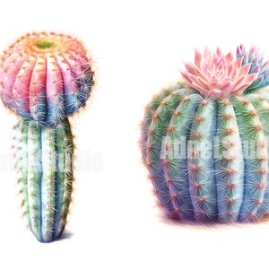 Watercolor Pastel Cactus Clipart - Cactus Digital Clipart Bundle ...