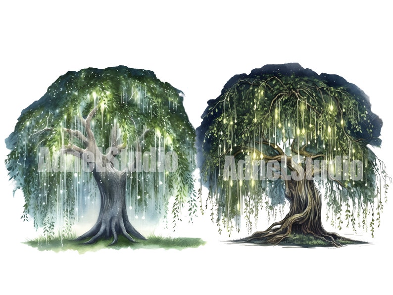 Watercolor Fairy Light Willow Tree Clipart - Willow Tree Landscape ...
