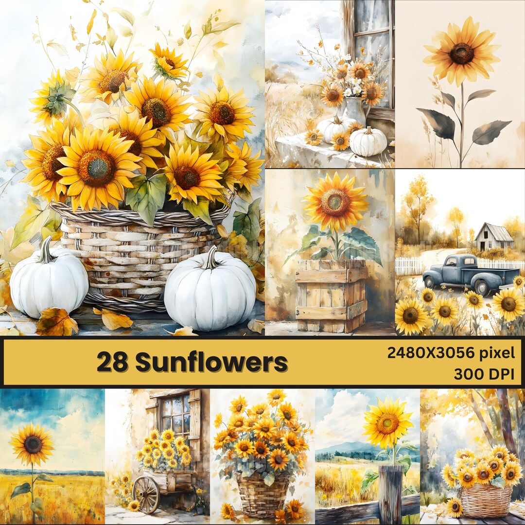 Sunflower Watercolor Digital Art Bundle, Autumn Harvest Sunflowers ...