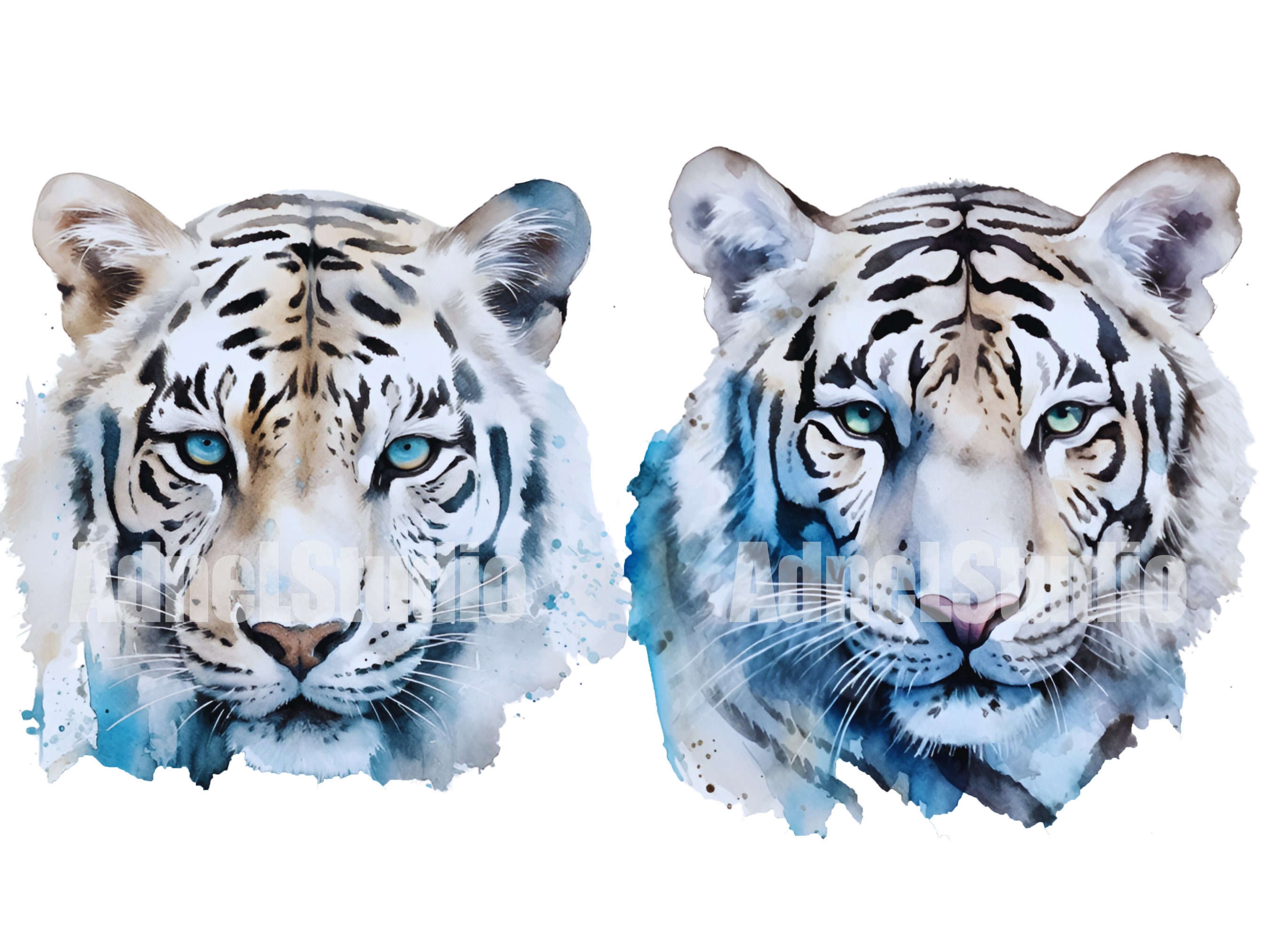 Watercolor Tiger Clipart Png, Watercolor Tiger Png, Watercolor Tiger ...
