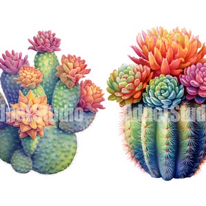 Watercolor Pastel Cactus Clipart - Watercolor Desert Cactus Clipart ...