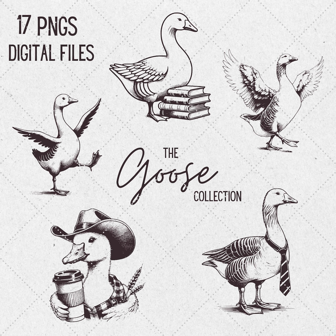 17 Silly Goose Designs PNG Sublimation Bundle DTG, Funny Goose, Flowers ...