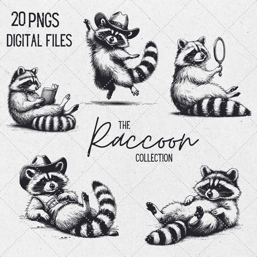 Raccoon PNG Clipart Bundle, Cowboy, Roses, Funny Animals (digital ...