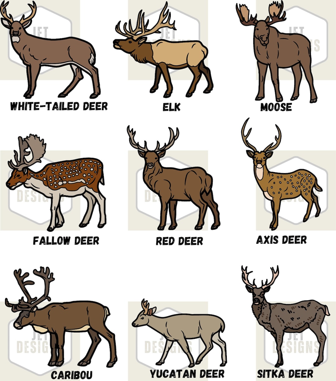 Deer Species SVG, Elk, Moose, Caribou (digital Download) - Etsy