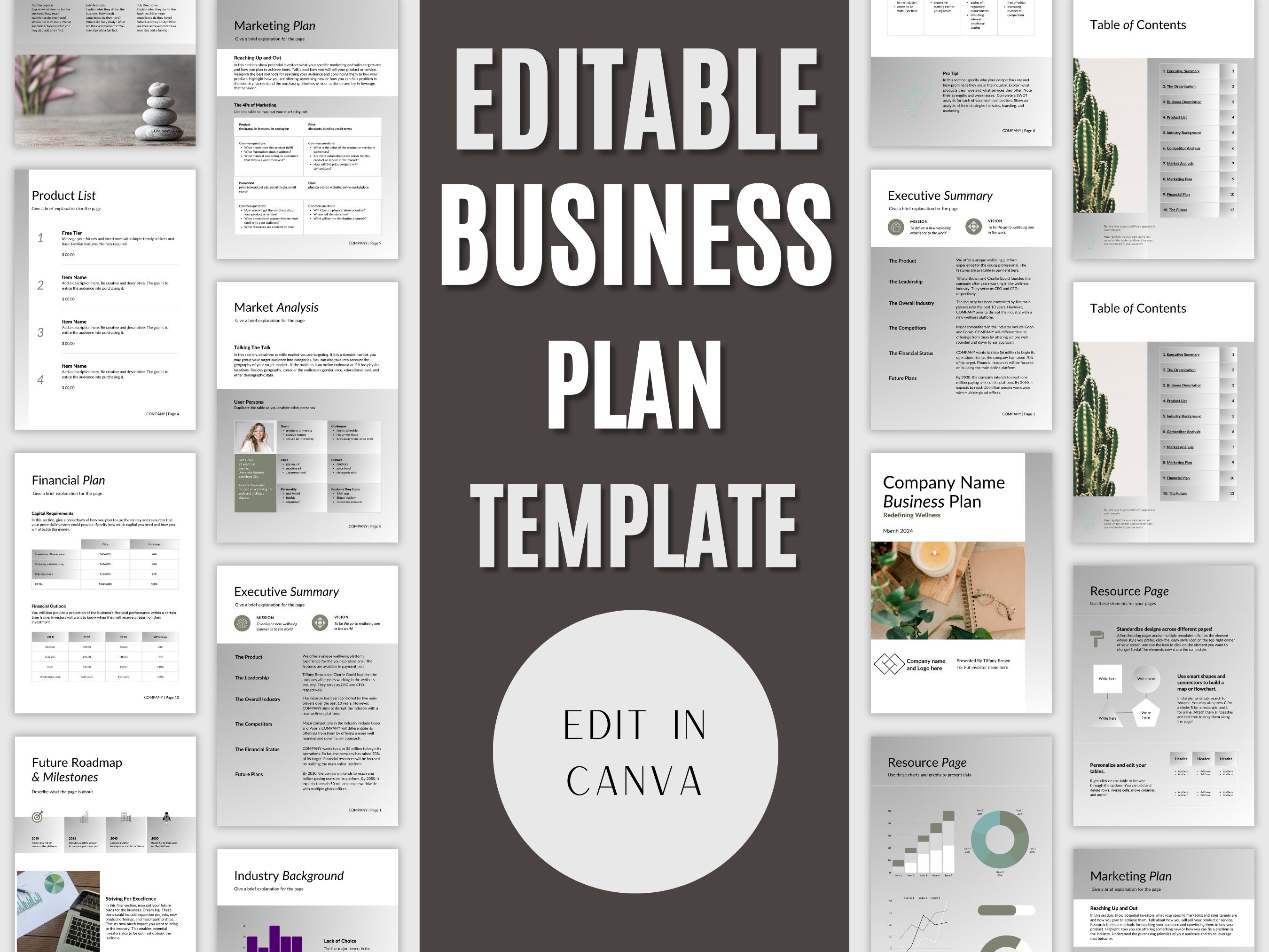 Editable Business Plan Template, New Business Proposal, Start up ...