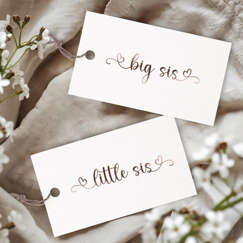 Big Sis Little Sis SVG Bundle: Sister Birthday Cut Files (digital ...