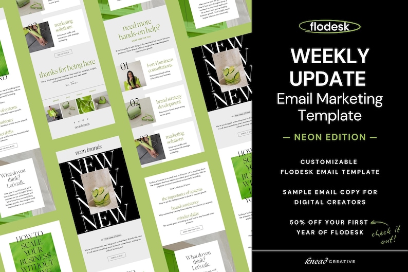 Weekly Update Flodesk Email Template - Etsy