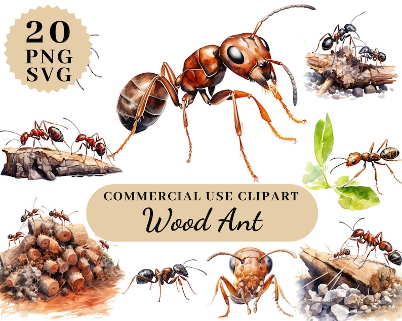 Clipart Ant Wood, Pend Ant, Printable Ants, Watercolor Ants, Cutout ...