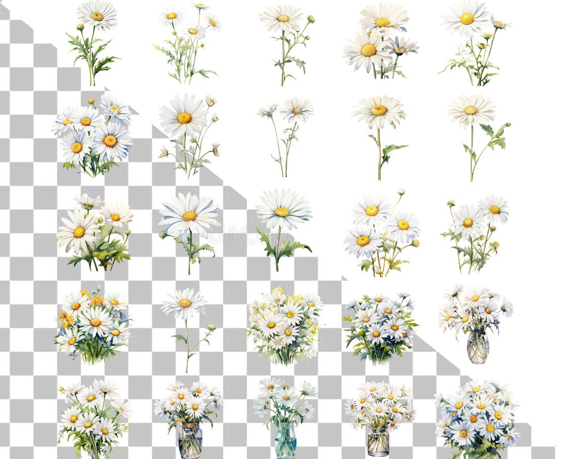 Daisy Flower Clipart Bundle Daisy Wreath Clipart Daisy - Etsy