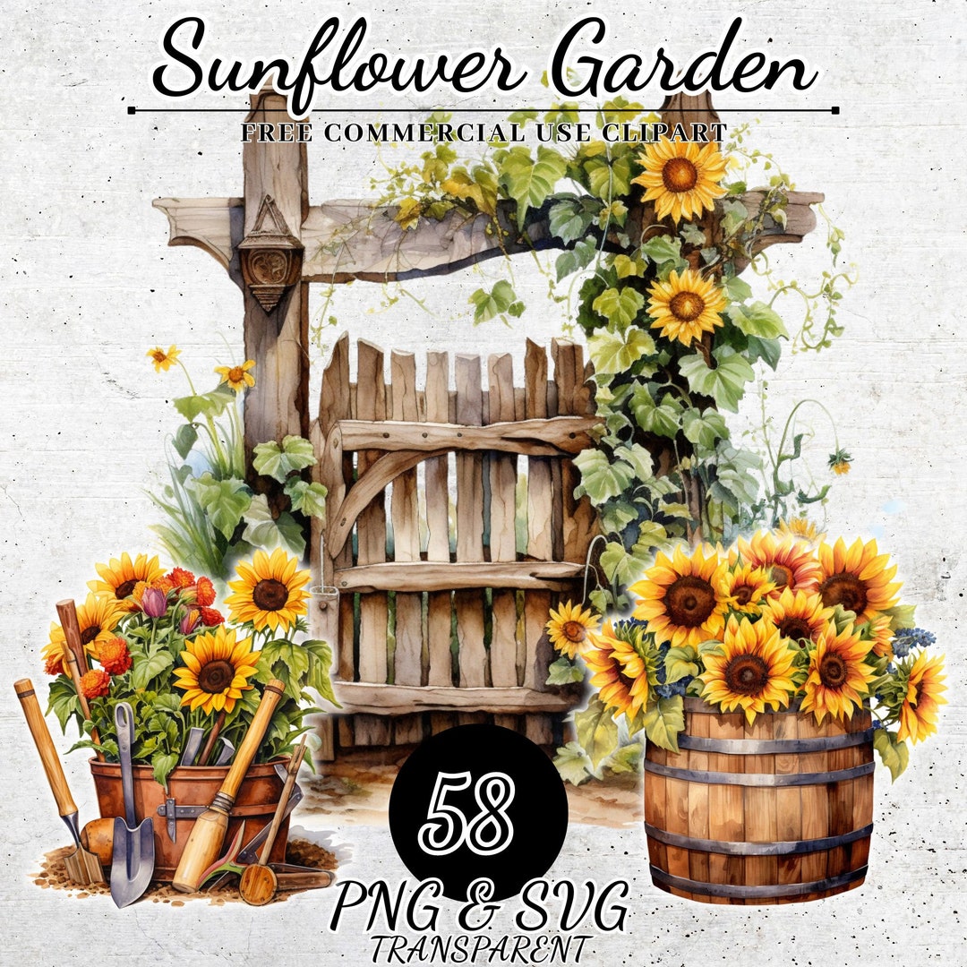 Watercolor Sunflower Garden Clipart, Botanical Sunflower Clipart ...
