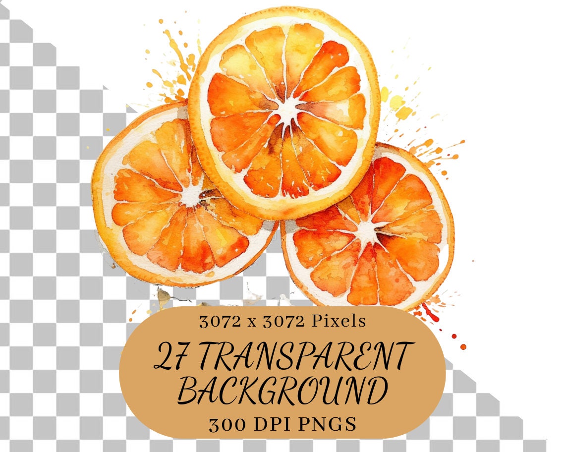 Watercolor Orange Fruit Clipart Gardener Orange Tree Oranges - Etsy