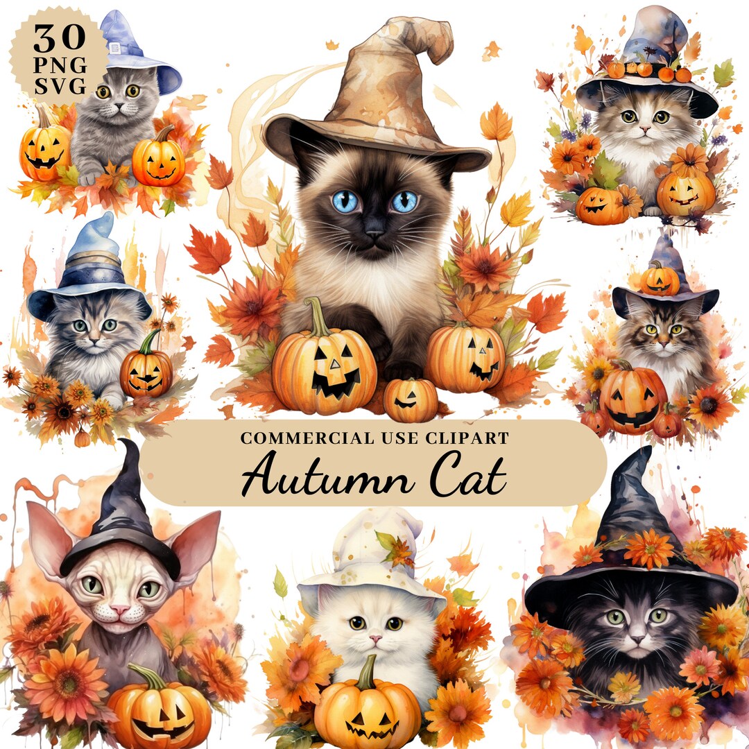 Watercolor Autumn Cat Pumpkin Flowers Clipart, Cozy Fall Clipart Set ...