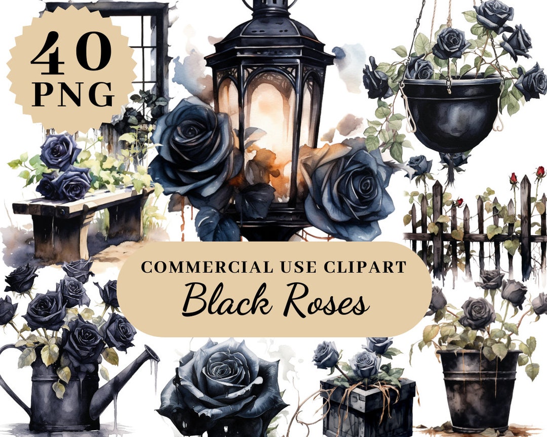 Watercolor Black Roses Clipart, Wedding Clipart, Provence Floral, Black ...