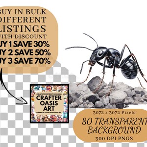 Clipart Ant Mega Clipart Bundle, Pend Ant, Printable Ants, Watercolor ...