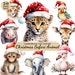 Watercolor Christmas Safari Animal Clipart, Jungle Safari Christmas ...
