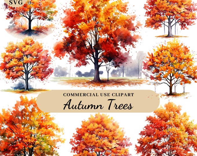 Fall Tree Clipart Bundle Fall Nature Clipart Transparent PNG SVG Autumn ...