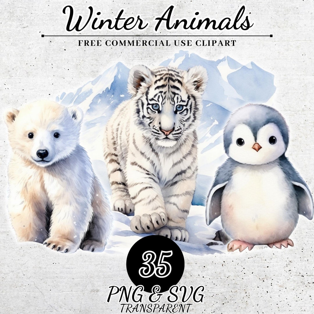 Watercolor Winter Animals Clipart, Penguin, Polar Bear, , Clipart for ...