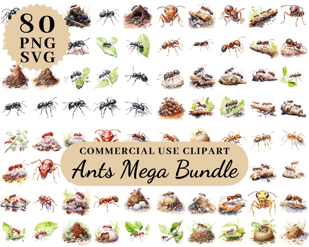 Clipart Ant Mega Clipart Bundle, Pend Ant, Printable Ants, Watercolor ...