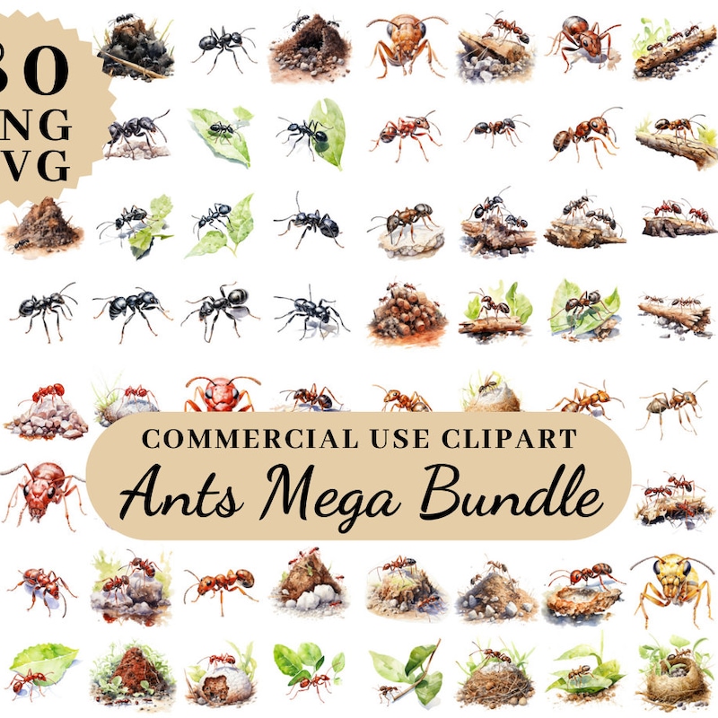 Ants - Etsy