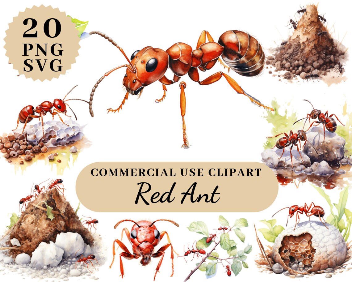Clipart Ant Red, Pend Ant, Printable Ants, Watercolor Ants, Cutout Ants ...