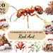 Clipart Ant Red, Pend Ant, Printable Ants, Watercolor Ants, Cutout Ants ...