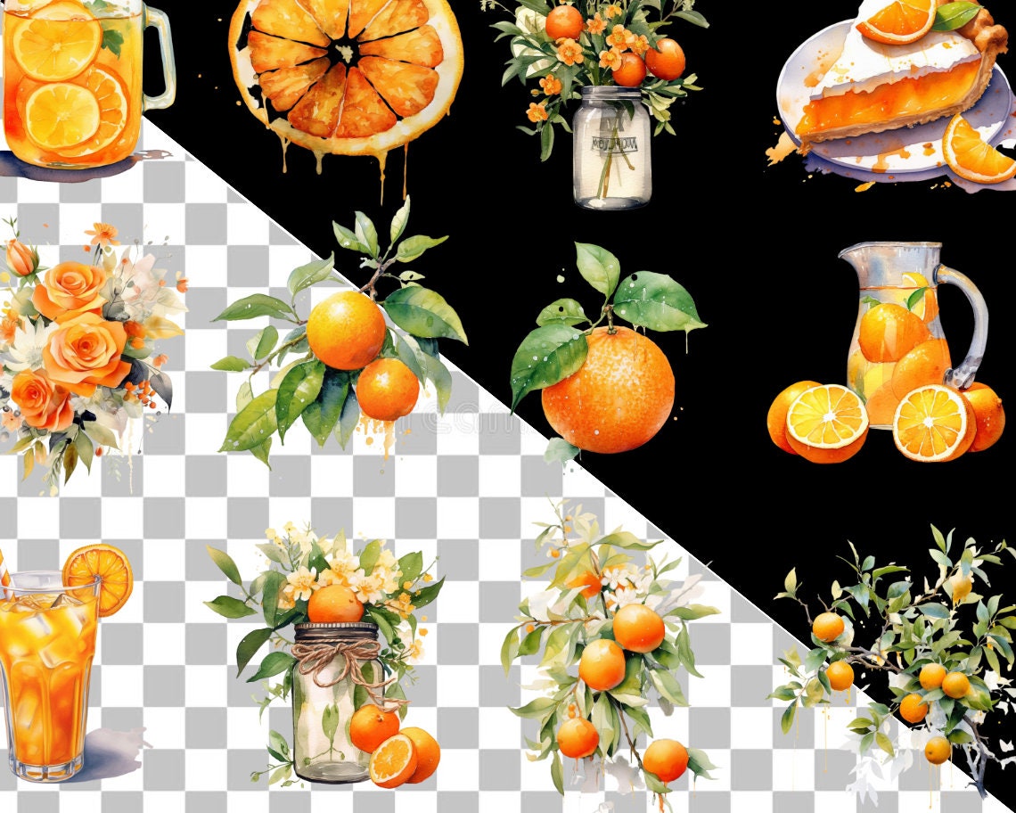 Watercolor Orange Fruit Clipart Gardener Orange Tree Oranges - Etsy