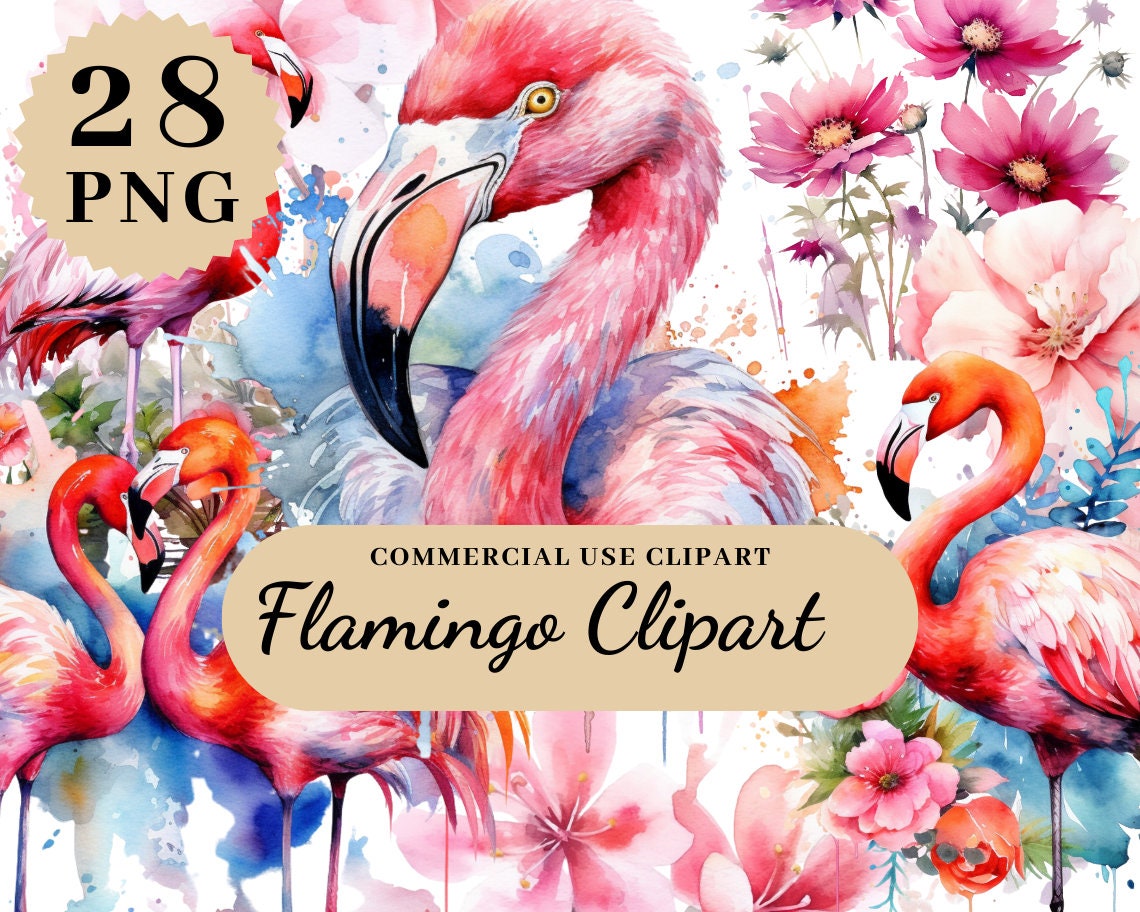 28 PNG Watercolor Flamingo Clipart Tropical Birds With - Etsy