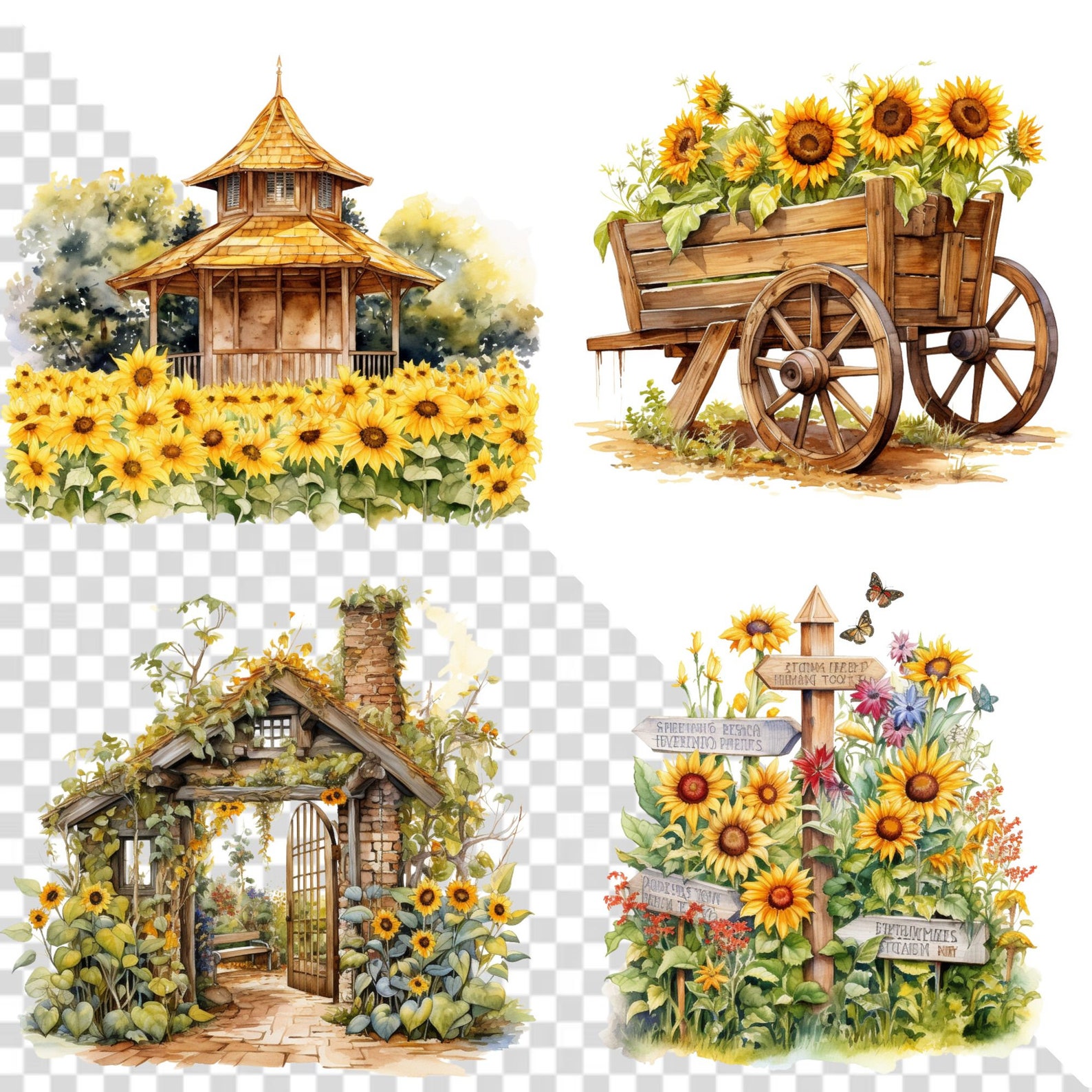 Watercolor Sunflower Garden Clipart, Botanical Sunflower Clipart ...