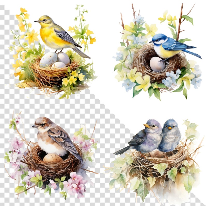 Watercolor Spring Bird Clipart, Digital Birds Cliparts Bundle, Spring ...