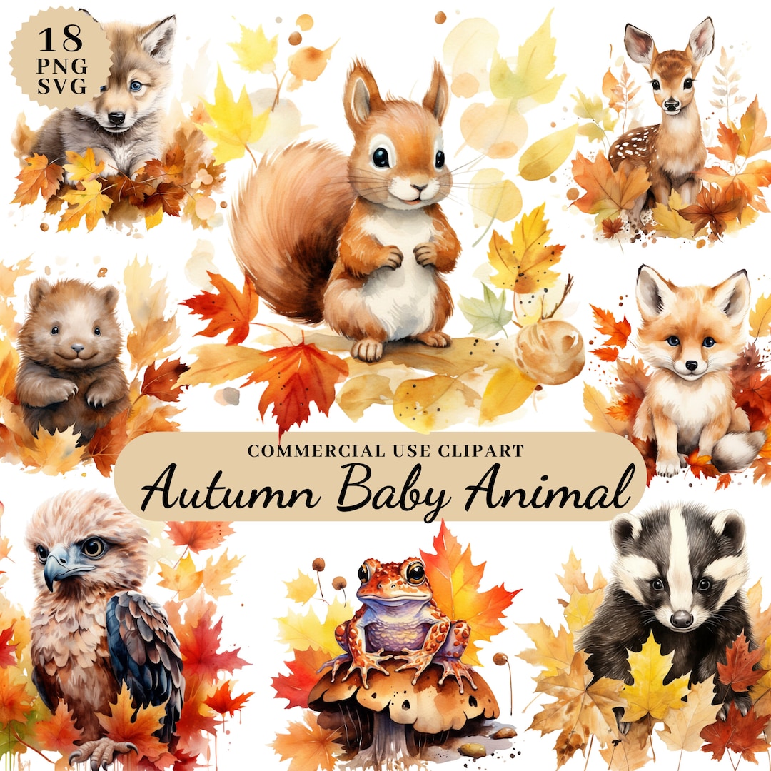Watercolor Autumn Woodland Animal Clipart PNG SVG Fall Clipart Wall Art ...