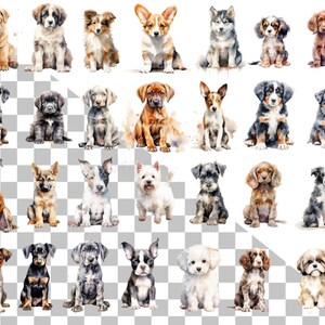 100 PNG Watercolor Puppies Clipart, Dog PNG Bundle, Dog Clipart ...