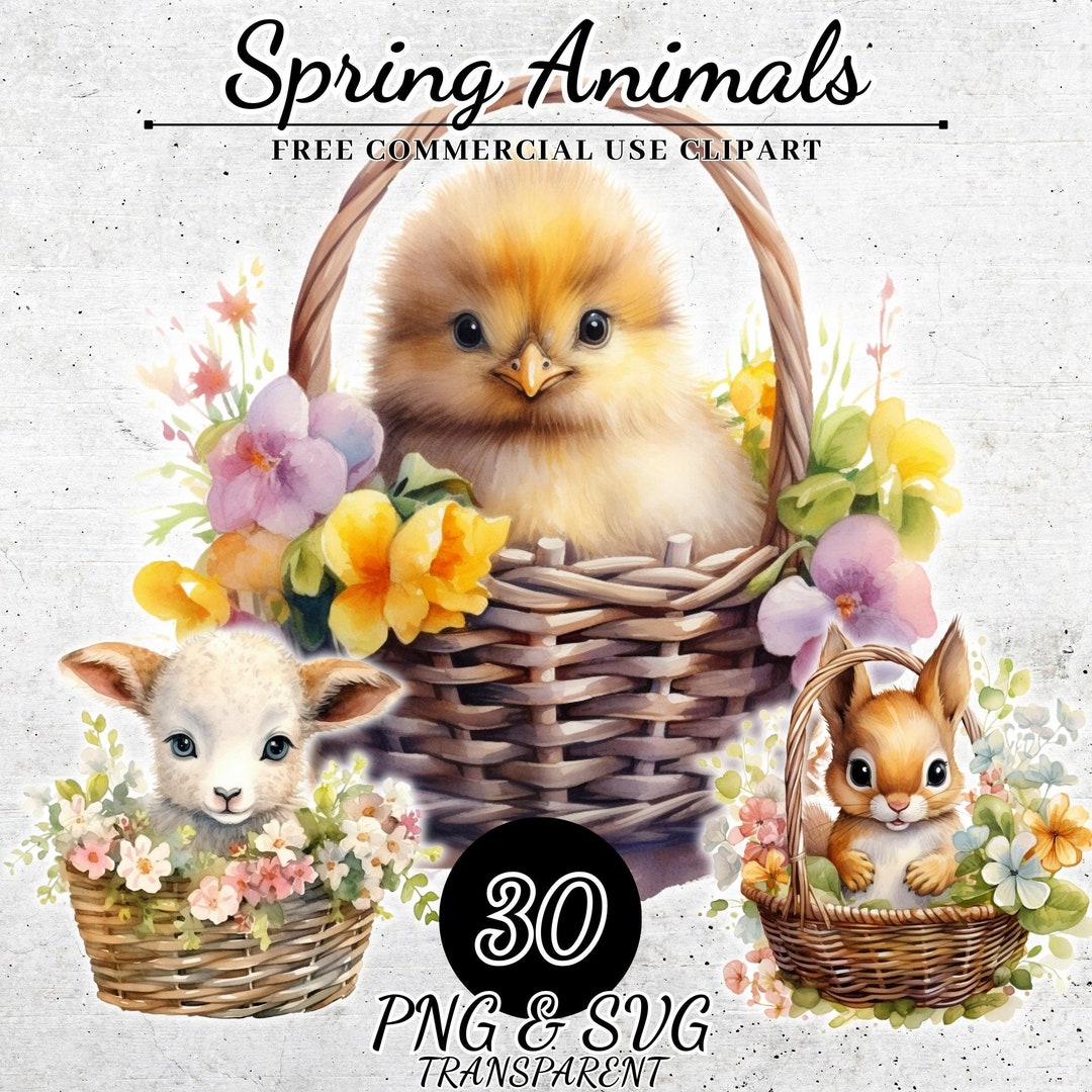 Watercolor Spring Animals Clipart, Animal Baby Clipart, Spring ...