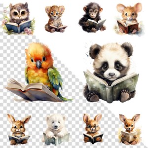 Watercolor Animal Reading Book Cliparts,png Fairy,junk Journal ...
