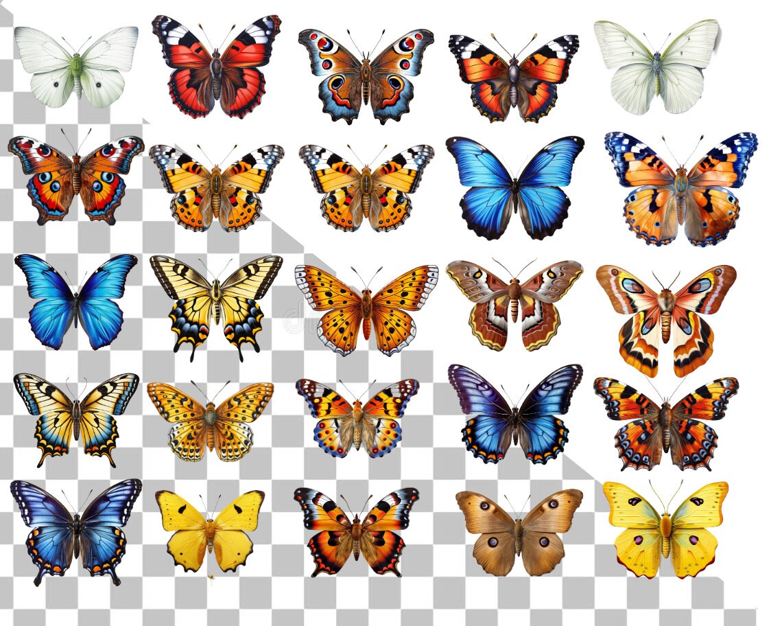 50 Butterfly Clipart PNG Butterfly Bundle Illustration - Etsy