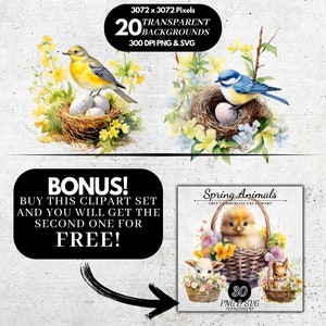 Watercolor Spring Bird Clipart, Digital Birds Cliparts Bundle, Spring ...