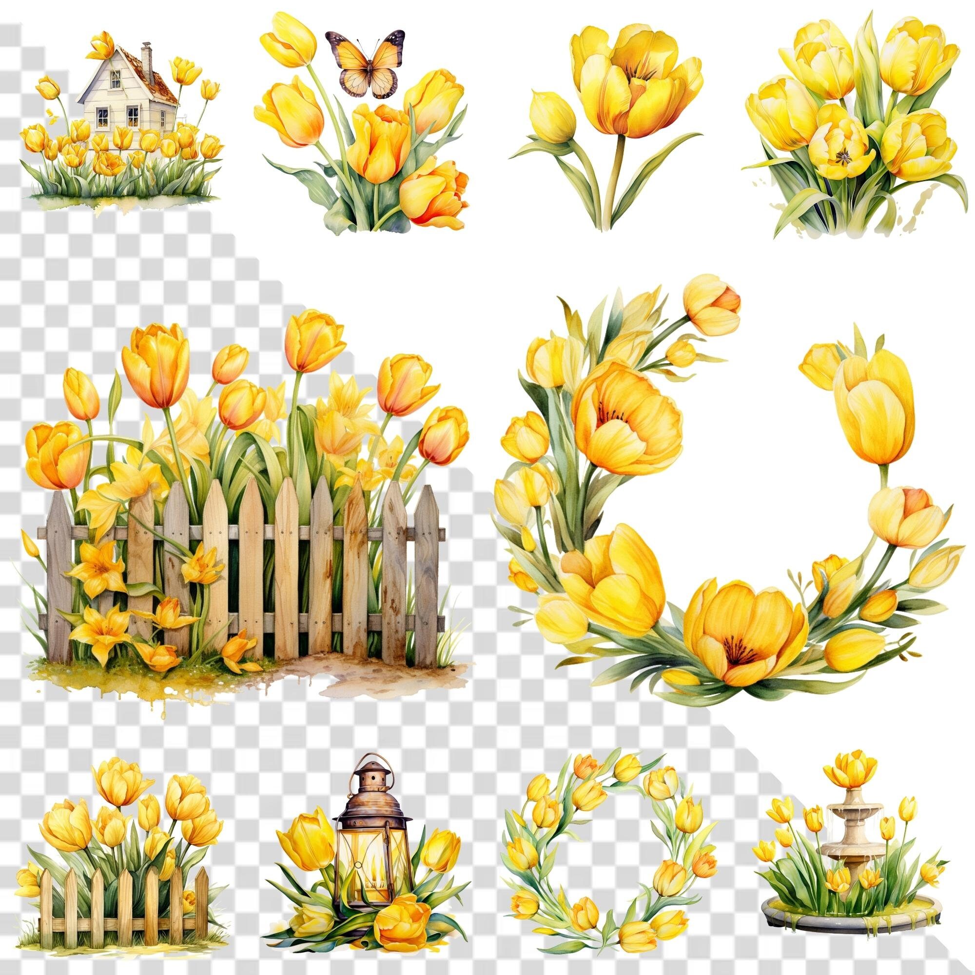 Watercolor Yellow Tulip Garden Clipart, Spring Decorations Clipart ...