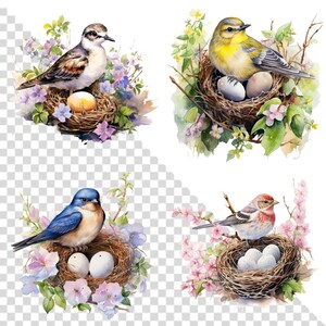 Watercolor Spring Bird Clipart, Digital Birds Cliparts Bundle, Spring ...