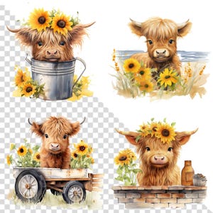Watercolor Sunflower Baby Highland Cow Clipart, Wedding Clipart ...