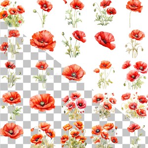 25 Poppy Flower Clipart Bundl Watercolor Flower Bundle, Poppy Wreath ...