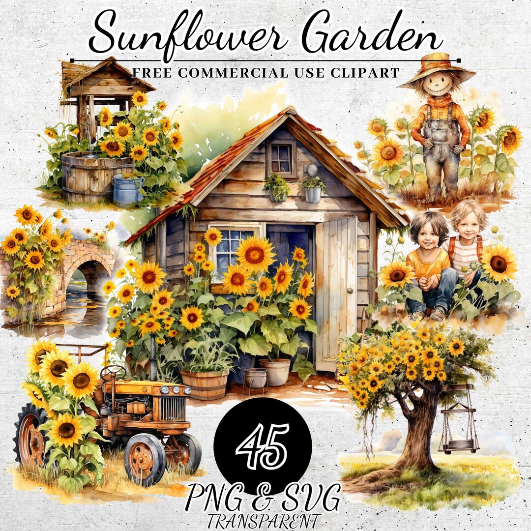 Watercolor Sunflower Garden Clipart, Botanical Sunflower Clipart ...