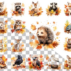 Watercolor Autumn Woodland Animal Clipart PNG SVG Fall Clipart Wall Art ...