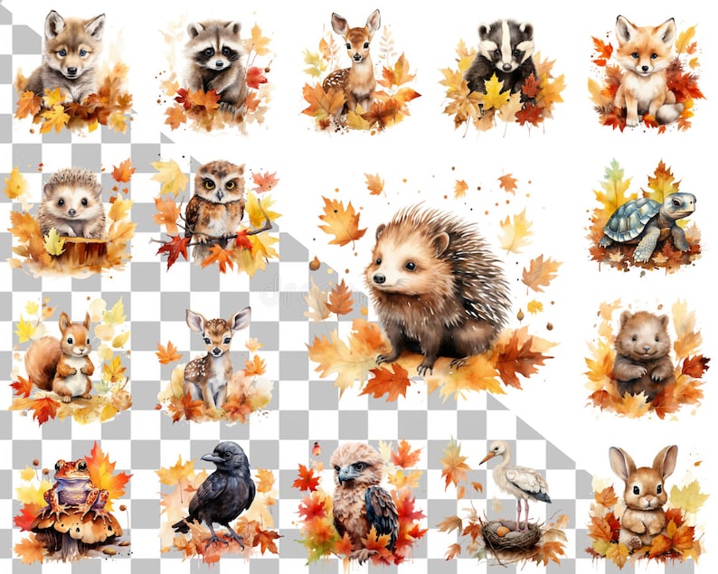 Watercolor Autumn Woodland Animal Clipart PNG SVG Fall Clipart - Etsy