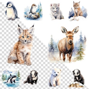 Watercolor Winter Animals Clipart, Penguin, Polar Bear, , Clipart for ...