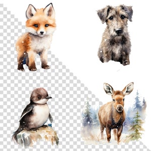 Watercolor Winter Animals Clipart, Penguin, Polar Bear, , Clipart for ...