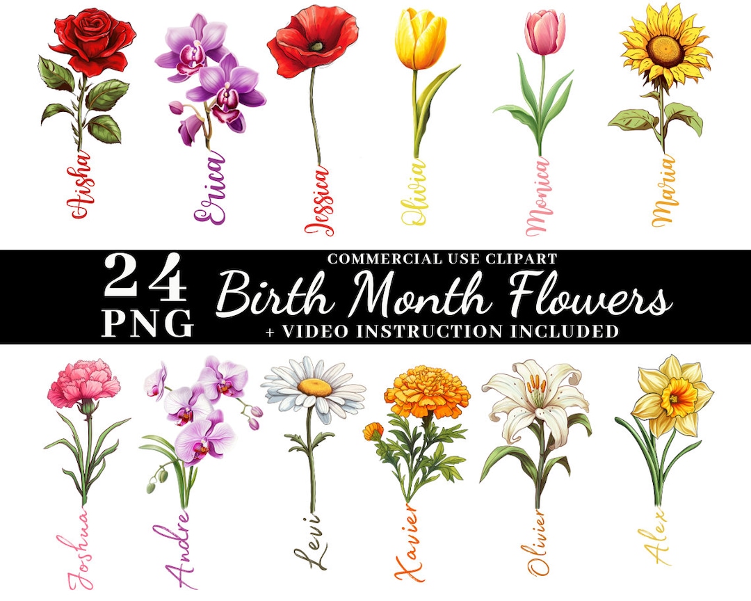 Birth Flower Clipart Birth Month Flowers Clipart Set Rose Birthflowers ...