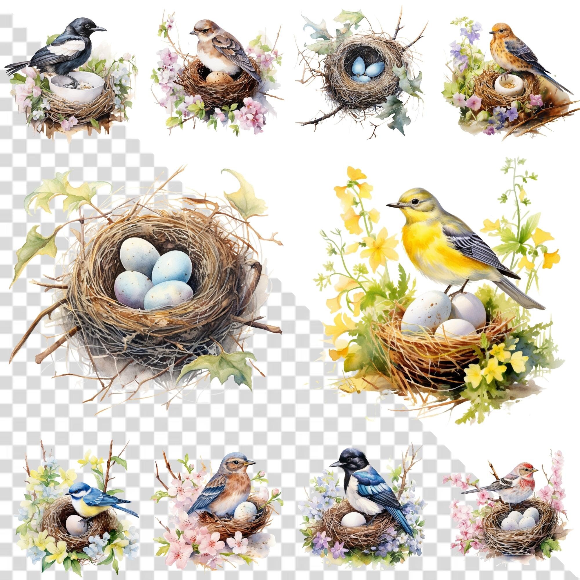 Watercolor Spring Bird Clipart, Digital Birds Cliparts Bundle, Spring ...