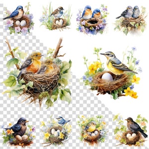 Watercolor Spring Bird Clipart, Digital Birds Cliparts Bundle, Spring ...